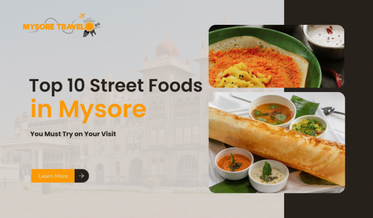Top 10 Street Foods in Mysore You Must Try on Your Visit